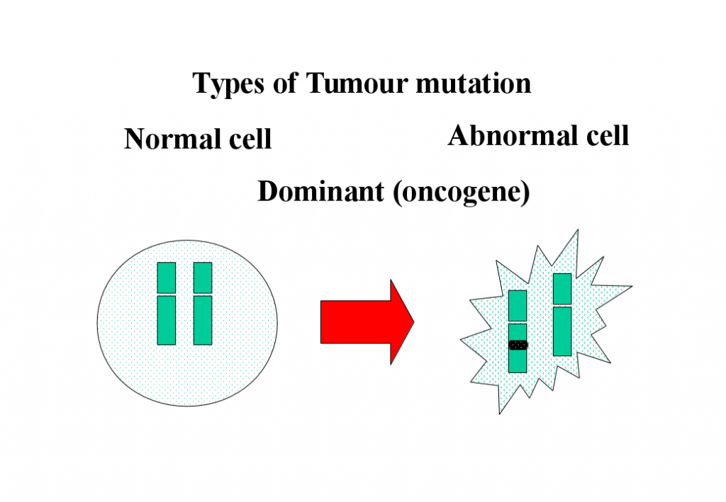 Neoplasia – oncogenes, tumour suppressor genes – Pathologia
