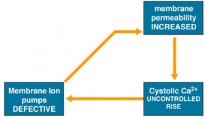 Necrosis – Pathologia